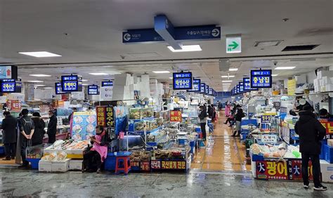 노량진 수산시장 서울에서 가장 큰 수산물 도매시장 Touringwiki 노량진 수산시장 서울에서 가장 큰 수산물 도매시장 Touringwiki