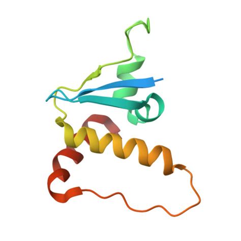 Rcsb Pdb 8qu8 Protac Mediated Complex Of Kras With Vhl Elongin B