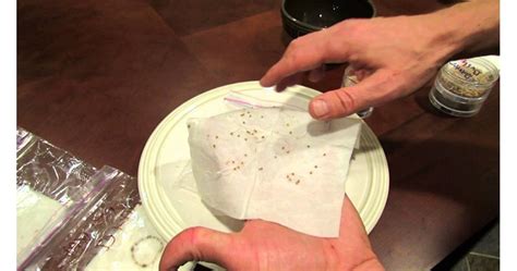 Обеззаразяване на семената с перхидрол Български Фермер