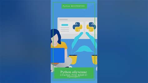 Python обучение с нуля Обучение Python Бесплатно Python обучение с