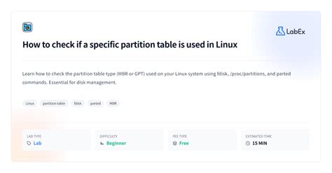 how to check if a specific partition table is used in linux labex