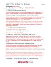 Understanding The Endocrine System Lab 9 Exploration Course Hero