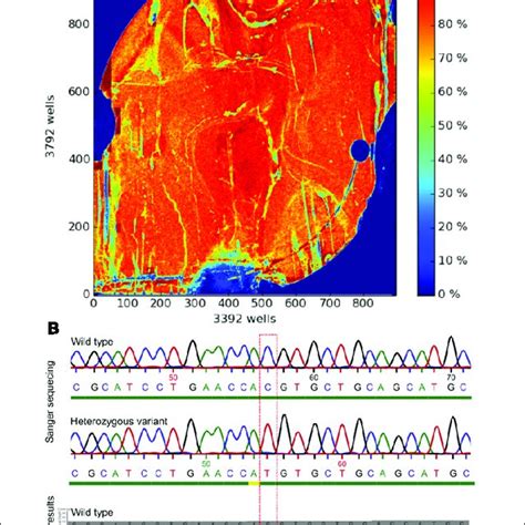 Mosaic Plot Representing A Contingency Table Of The Types Of Genetic