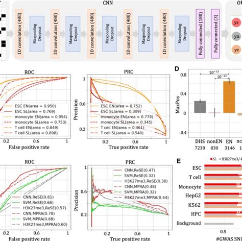 A Deep Learning Model To Predict Silencers A A Schematic Of The Deep