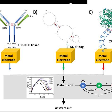 Multiplexed 117 Detection Tool For Sars Cov 2 Upper Panel Presents Download Scientific Diagram