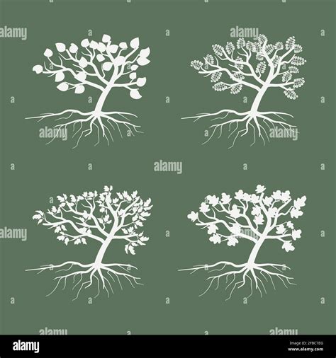 Simple Vector Trees Environmental Symbol Tree Illustration Icon Set Collection Of Artistic