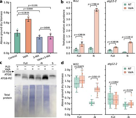 Validamycin A Induced Biomass Productivity Is Dependent On