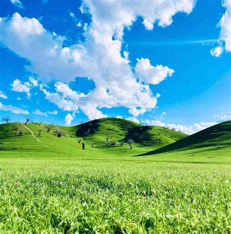 سرزمینم بهار بادغیس زیبا