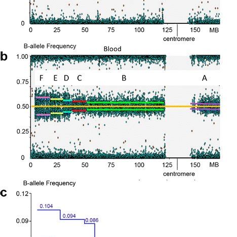 Data From The SNP Arrays Show Variable B Allele Frequencies On The Download Scientific Diagram