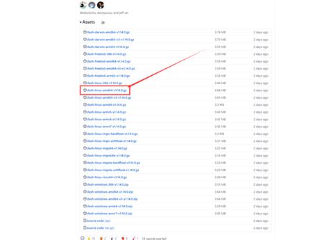 如何在ubuntu Server上使用clash Hiifong