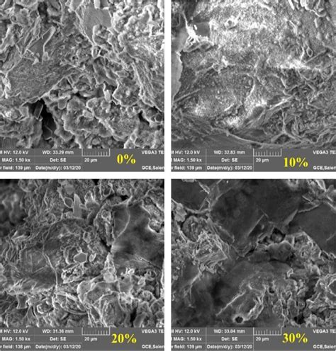 Sem Analysis Comparison Of All Proportions Of Scba Download Scientific Diagram