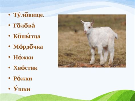 Презентация на тему Лепка Козленок