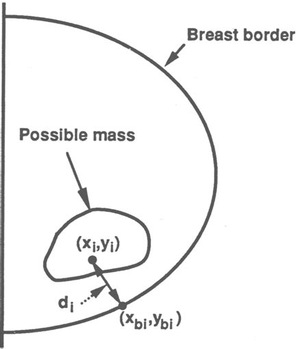 Schematic Illustration Of Area And Border Distance Measures In The Download Scientific Diagram