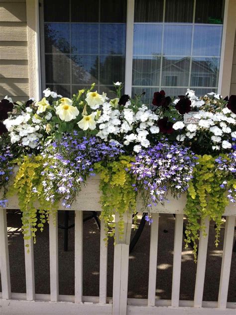 How To Hang Flower Baskets On Balcony At Sherry Hudson Blog