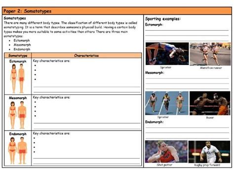 Gcse Pe Aqa 9 1 Somatotypes Knowledge Retrieval Revision Mat Paper 2 Teaching Resources
