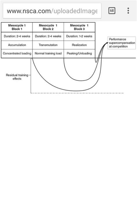 Basic Conjugate Sequence Structure Training Plan Iron Games Powerlifting