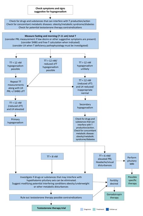Eau Guidelines On Sexual And Reproductive Health Uroweb
