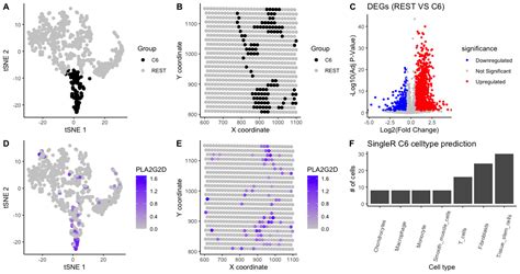 Cluster Characterization In Sequencing Based Spatial Transcriptomics Genomic Data Visualization