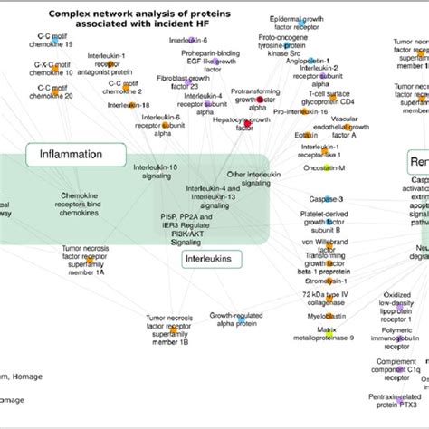 Complex Network Analysis Of Significant Protein Biomarkers Download Scientific Diagram