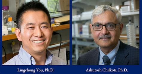 Multidisciplinary University Research Initiative Tackles Synthetic Biology Duke Department Of