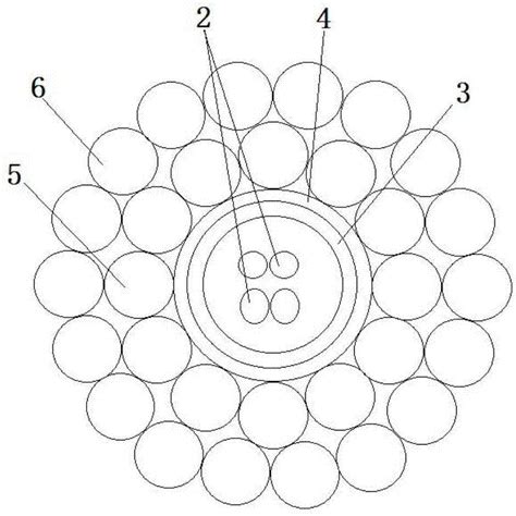 一种连续油管穿光纤系统的制作方法 3