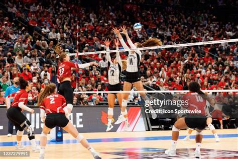 11 Tori Dilfer Photos And High Res Pictures Getty Images