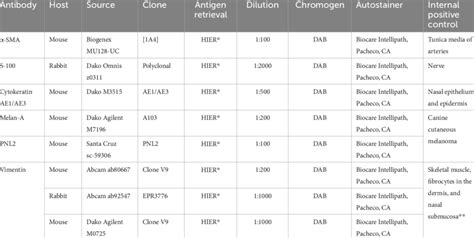Antibodies With Source Clone Manufacturer Concentration Used Download Scientific Diagram