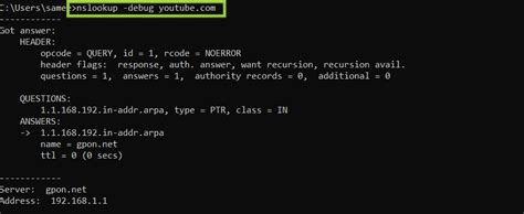 Nslookup Command Decoding Dns Queries For Professionals