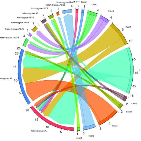 Genotype Distribution Of Exon And Intron Regions That Detected