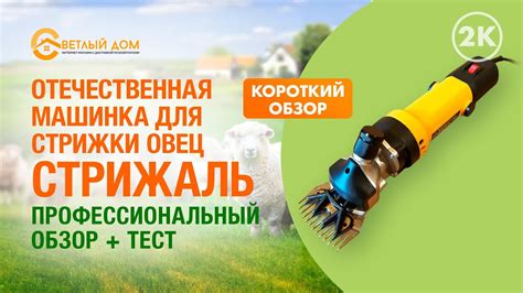 2к. Отечественная машинка для стрижки овец Стрижаль + тест машинки ...