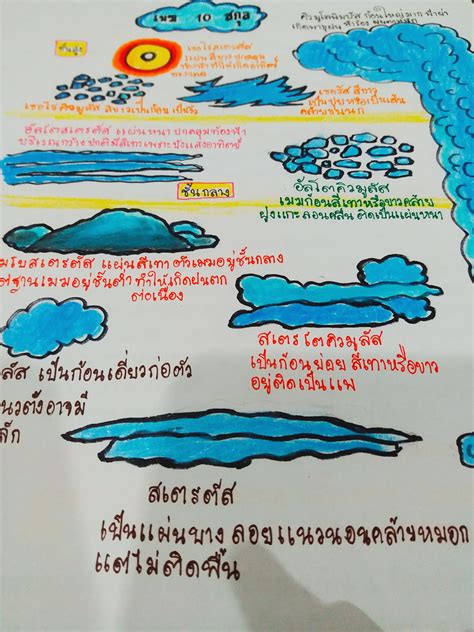 ชีทสรุปวิทยาศา ชีทสรุปวิชาวิทยาศาสตร์ประถมต้นและประถมปลาย