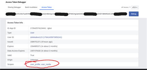 Python Instagram Access Token Is Not Working With Graph Api Stack