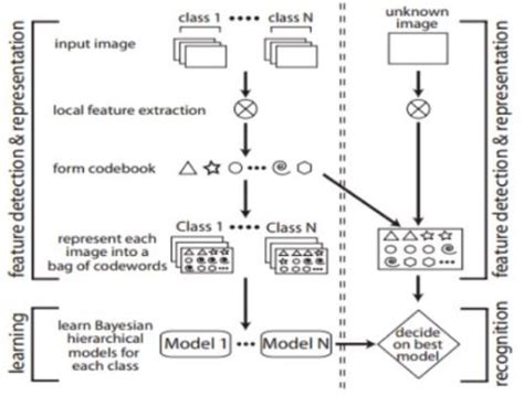 Image Classification Using Bag Of Visual Words Model Mlk Machine