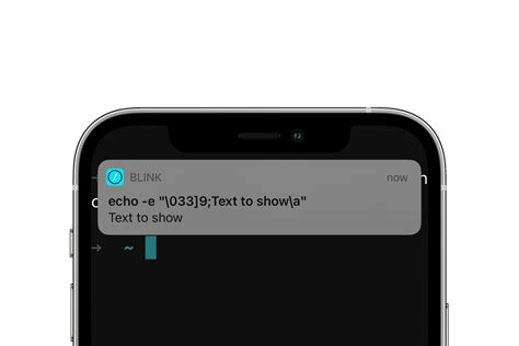 Notifications Blink Shell