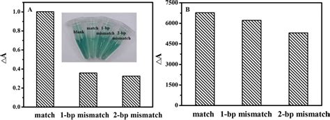 sequence selectivity of the assay toward a y shaped dna duplex and