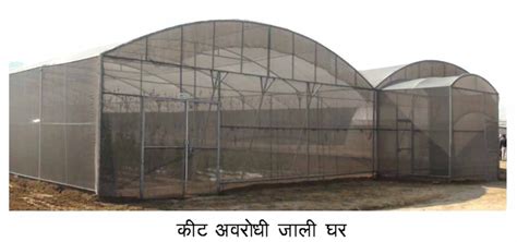 Insect Proof Net House Protected Structures Download Scientific Diagram