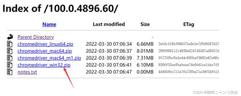Selenium 谷歌驱动（chromedriver）安装教程 Csdn博客