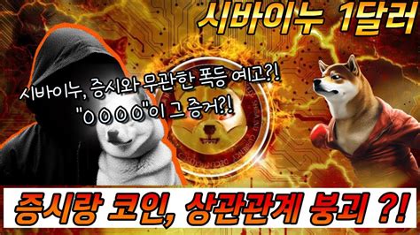 시바이누 코인 대형 호재이제는 코인판 독립 증시 따라가는 시대 끝났다 시바이누 시바이누코인 시바이누전망 Shib 밈코인 비트코인 리플
