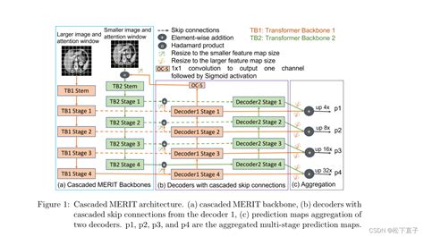 用于医学图像分割的级联注意解码多尺度分层视觉转换器multi Scale Hierarchical Vision Transformer With C Csdn博客