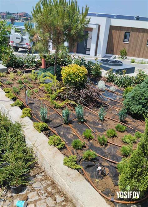 Фирма за Озеленяване Двор и Градинa Разсадник Йосифов