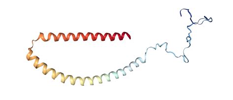 October 2018 The Science Of Parkinsons