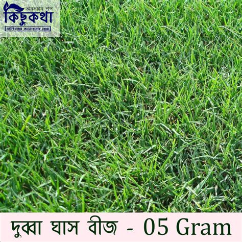 Durba Grass Seed 5 Gm দূর্বা ঘাসের বীজ ৫ গ্রাম বা প্রায় ২০০০ টি