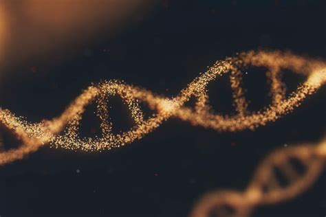 Mutations In Noncoding Dna Become Functional In Some Cancer Driving Genes Ucla