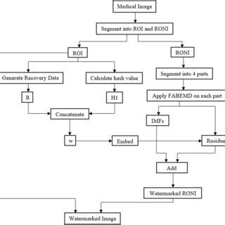 Block Diagram Of Extraction Algorithm Download Scientific Diagram