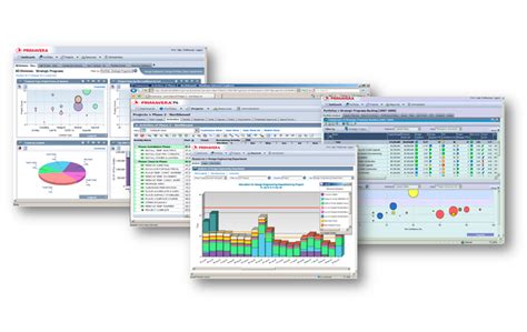 Primavera P6 Eppm And Ppm Finality Consultores Associados