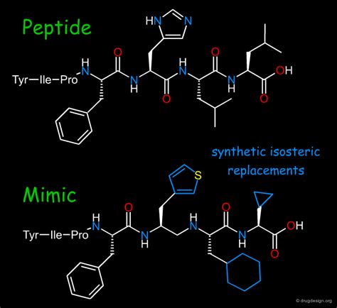 Peptidomimetics Drug Design Org