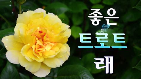 광고없는 Best 트로트 30곡 연속듣기 술술 넘어가는 트로트메들리 잘 듣고갑니다 트로트 최신 트로트 100곡 Youtube