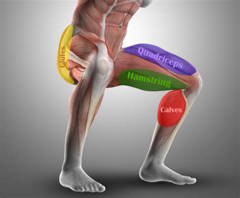 The 7 Best Leg Exercises With Resistance Bands Biqbandtraning