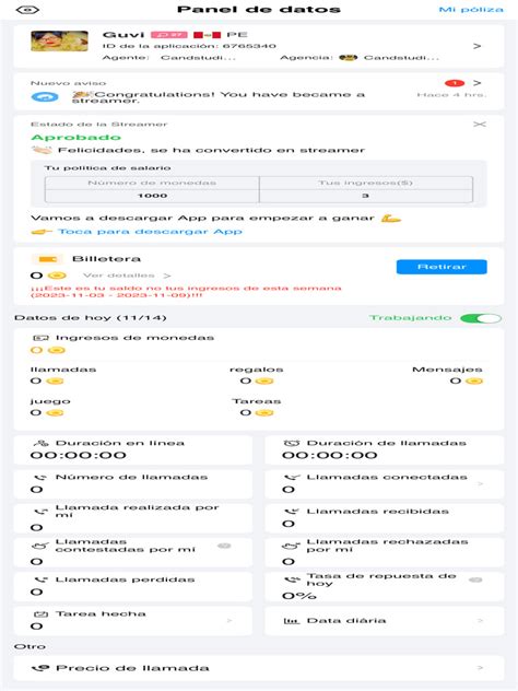 Panel De Datos 2 Pdf