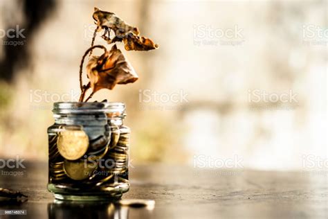 유리 항아리 동전의 전체와 그것을 통해 죽어 건조 식물 대출 모기지 인플레이션 예산 비용 지불 파산 등등의 개념 개념에 대한 스톡 사진 및 기타 이미지 Istock